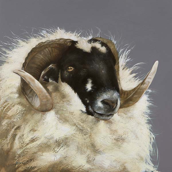Handsome Ram (large) – The Picture Framer Glasgow